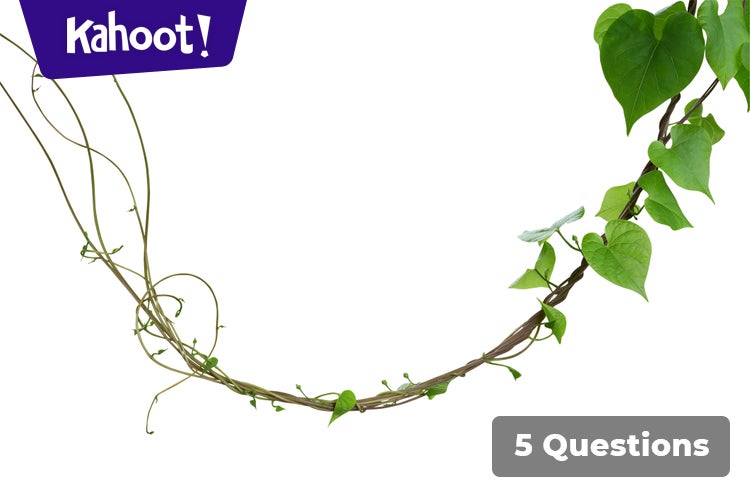 Exploring Plants - Kahoot! Quiz