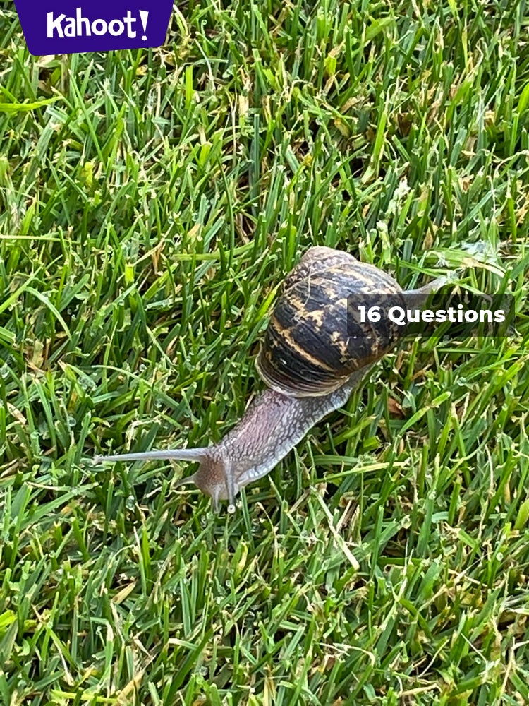 Body Organization and Homeostasis - Kahoot! Quiz