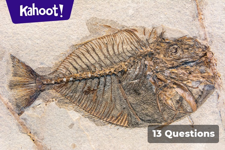 Introduction to the Geologic Time Scale - Kahoot! Quiz