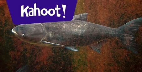 Fish 1 (WM CDE) - Kahoot! Quiz