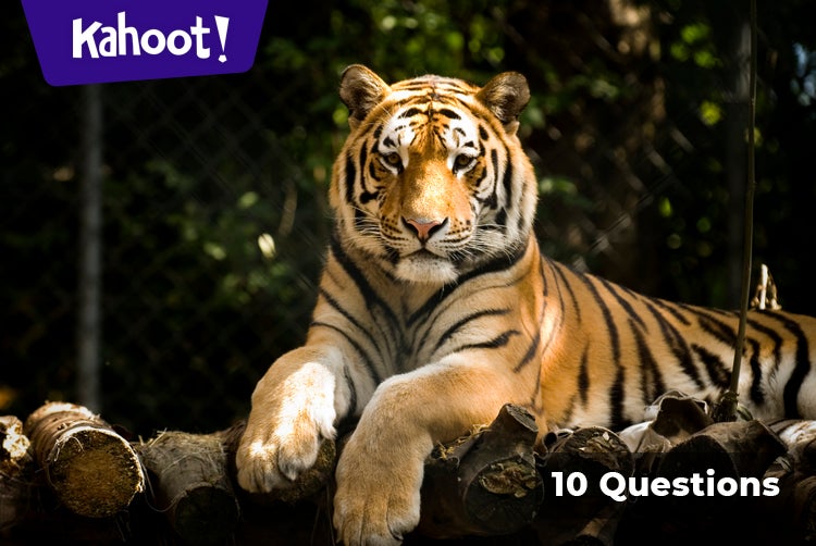 Animals - Kahoot! Quiz