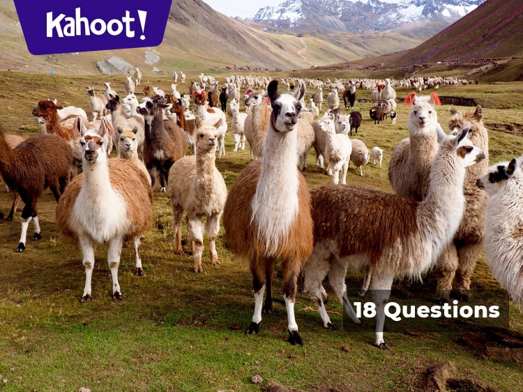 Avancemos 1 Unidad 1 Lección 2 Gramática - Kahoot! Quiz