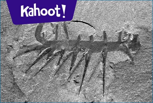 Mesozoic and Cenozoic - Kahoot! Quiz