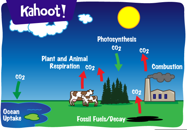 Cycling of matter - Kahoot! Quiz