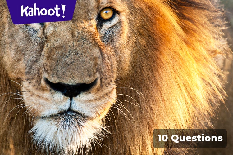 Animals - Kahoot! Quiz