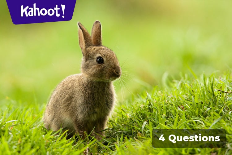 Review Warm Up #9 - Kahoot! Quiz