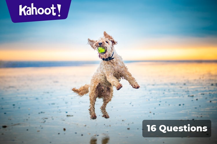Dog Breeds - Kahoot! Quiz