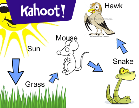 Greenhouse Bio Final Exam Review - Kahoot! Quiz