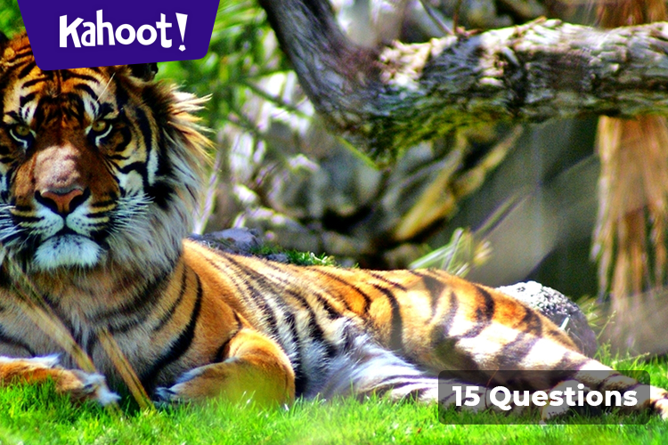 Tropical Animals - Kahoot! Quiz