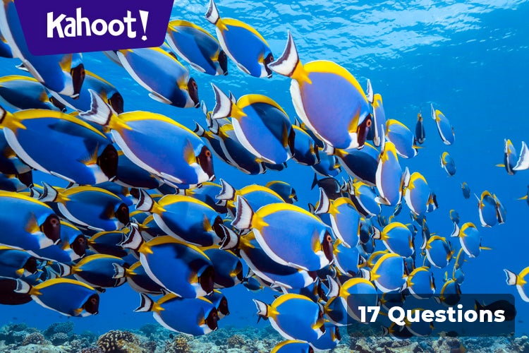 The Kids' Table/The Dental Floss Fish - Kahoot! Quiz