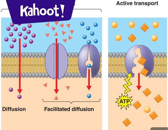Duplicate of Passive and Active Transport - Kahoot! Quiz