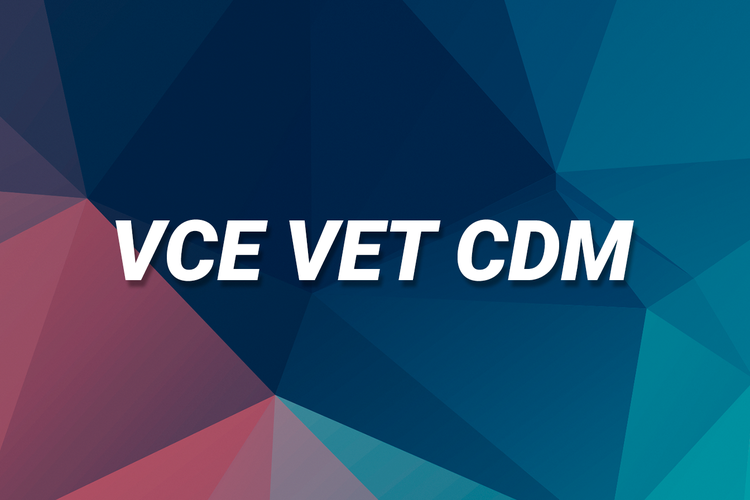 VCE VET Creative & Digital Media - Kahoot! Course