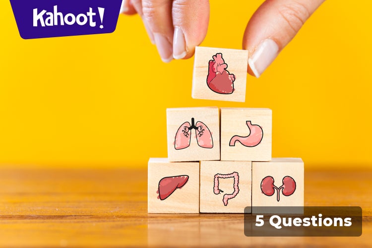 Levels of Organization in Organisms: Lesson Quiz - Kahoot! Quiz