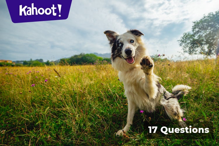 evolution - Kahoot! Quiz