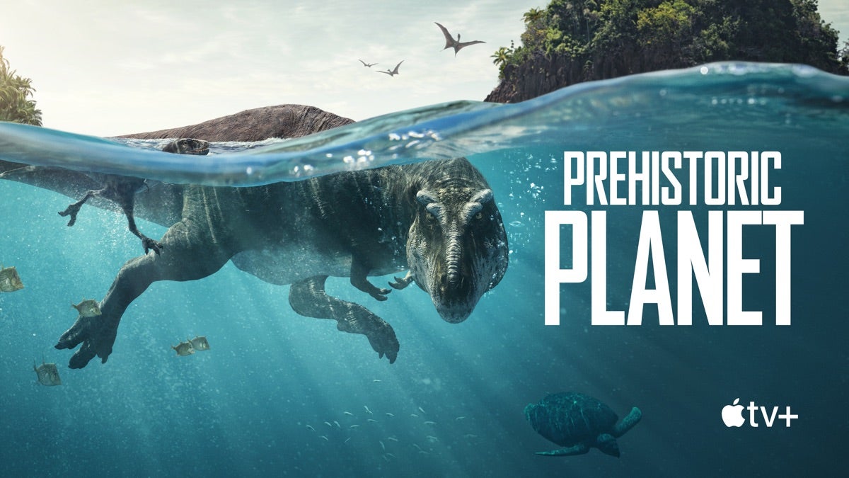 Turtle Hatchlings - Kahoot! Quiz