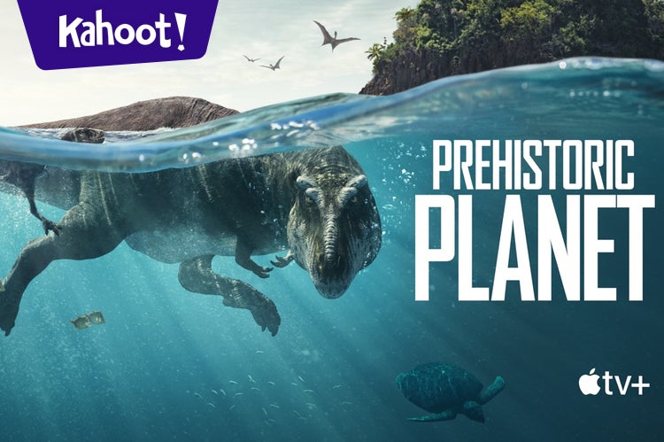 Turtle Hatchlings - Kahoot! Quiz