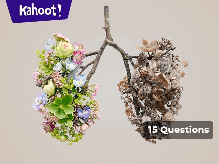 Respiratory system embriology-eng - Kahoot! Quiz