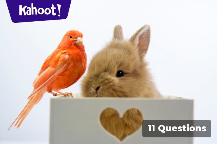 Animal reveal - Kahoot! Quiz