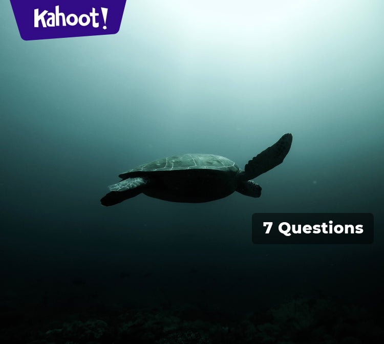 Types of Sea Turtles - Kahoot! Quiz