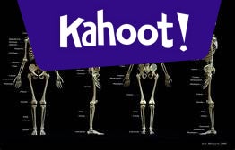 All about Bones - Kahoot! Quiz