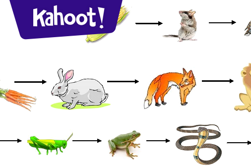 LETS Lesson Food Web/Food Chain - Kahoot! Quiz