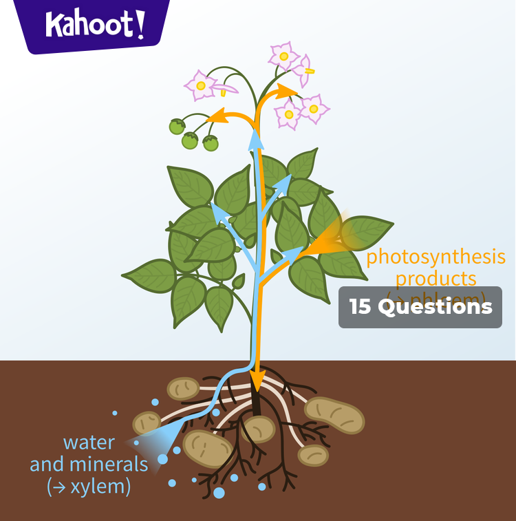 Transpiration, Translocation, and Growth in Plants - Kahoot! Quiz