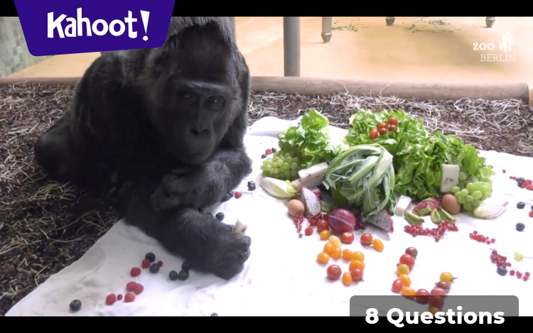 TV2Skole: Gorillas - Kahoot! Quiz