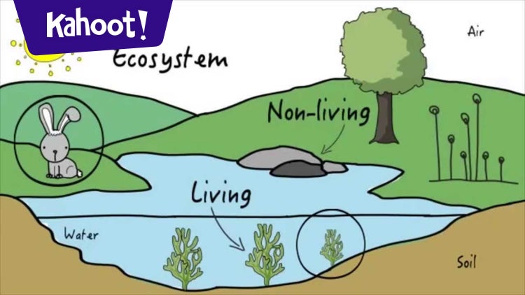 Matter and Energy in the Environment - Kahoot! Quiz