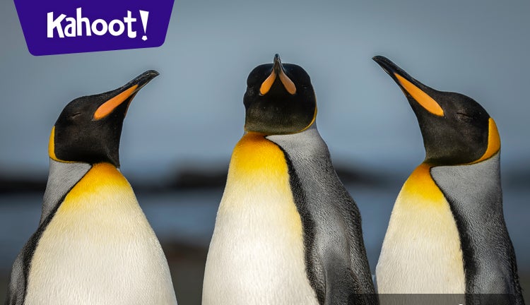 Animal parts vocab, has got, can - Kahoot! Quiz