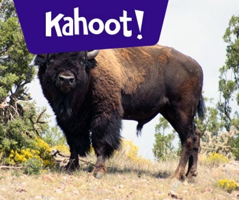 5-500 Plains Indians: The Buffalo - Kahoot! Quiz