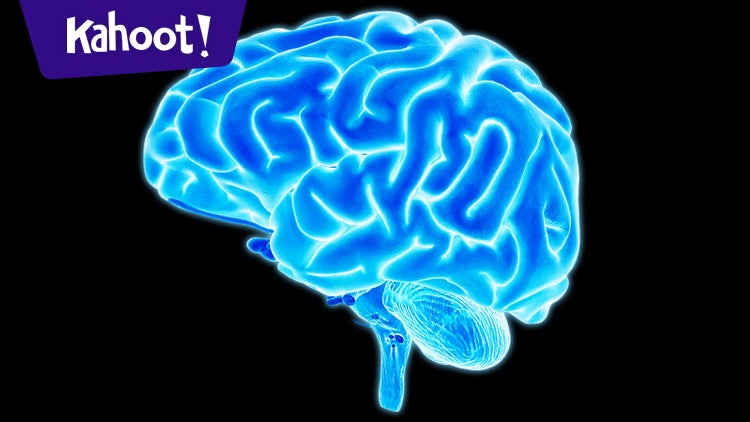 THE BRAIN - Kahoot! Quiz