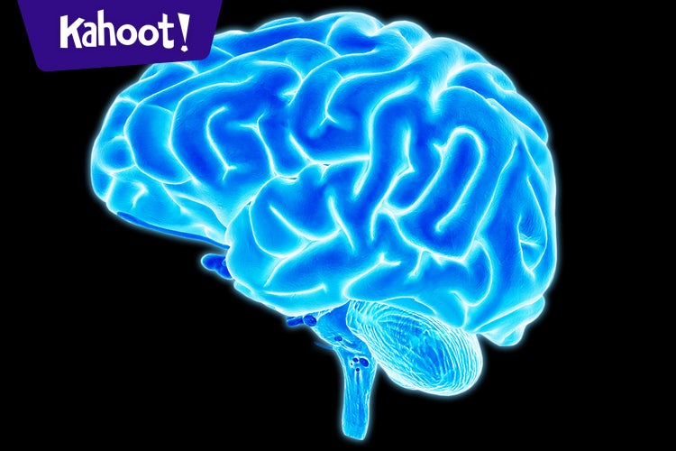 THE BRAIN - Kahoot! Quiz