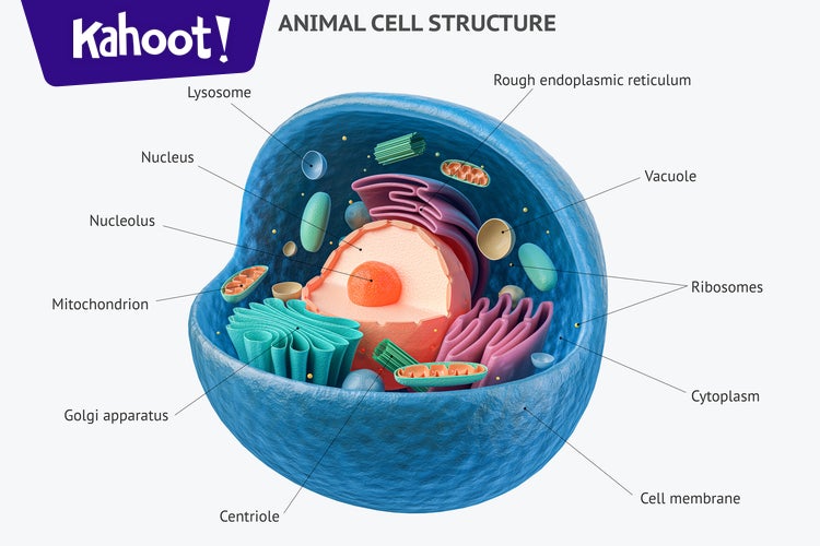 P5 Cells - Kahoot! Quiz