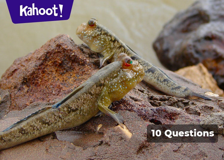 A Fish out of Water - Kahoot! Quiz
