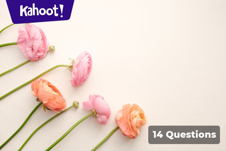 Oscillating Spring Lab AP Physics 1 - Kahoot! Quiz