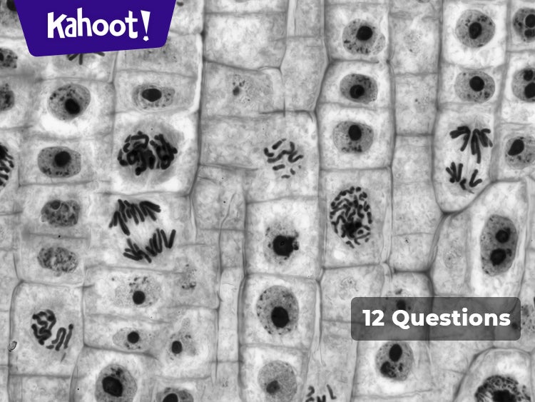 Review: 7 Characteristics of Life and the 5 Main Organelles in a Cell ...