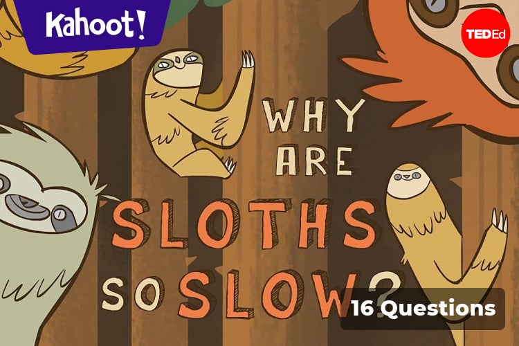 Why are sloths so slow? - Kahoot! Quiz
