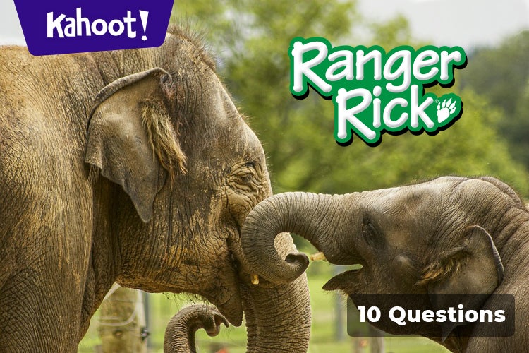 Test Your Asian Elephant Smarts! - Kahoot! Quiz