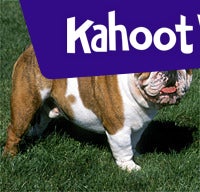 Vet Breed ID Dog Non-sporting group CDE FFA SC - Kahoot! Quiz