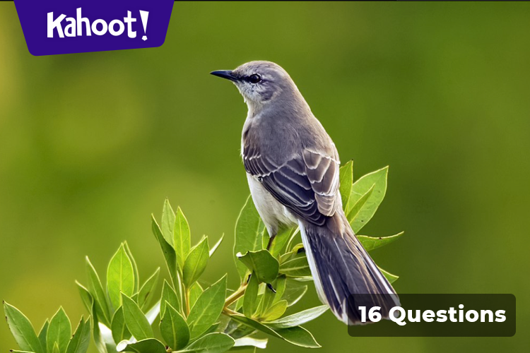 TO Kill a Mocking Bird - Fighting prejudice and segregation - Kahoot! Quiz