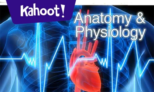 CH 6 Anatomy & Physiology - Kahoot! Quiz