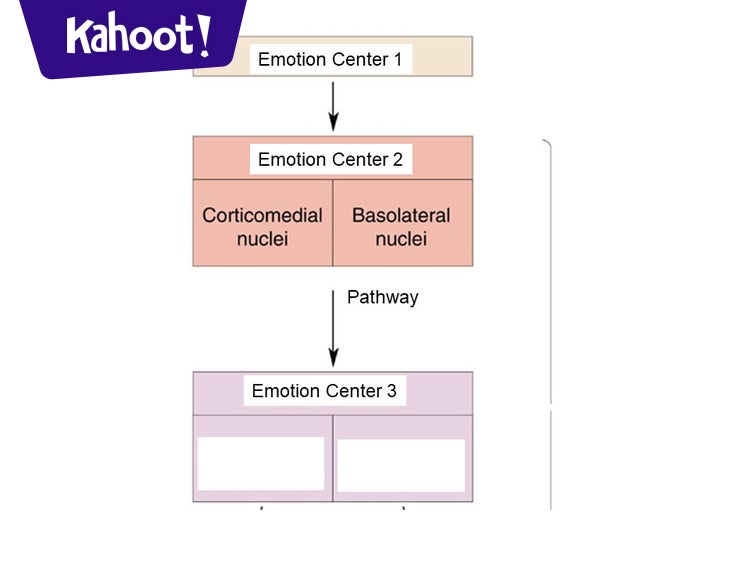 Behavioral Neuroscience - Chapter 15 - Emotion - Kahoot! Quiz