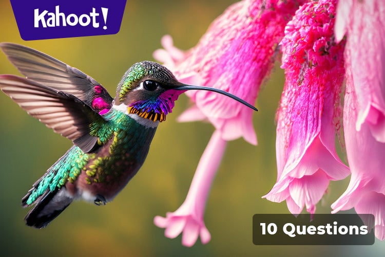 true or false facts: animals - Kahoot! Quiz