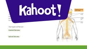 The Brain Functions - Kahoot! Quiz