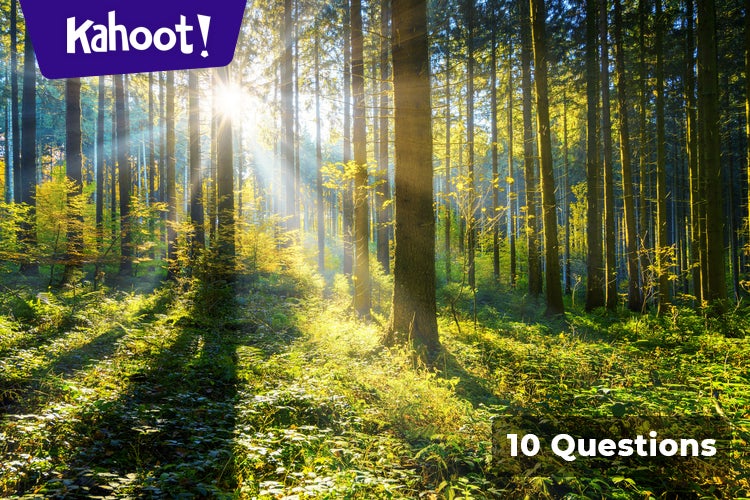 Nervous System Part 1 Prep Q&A - Kahoot! Quiz