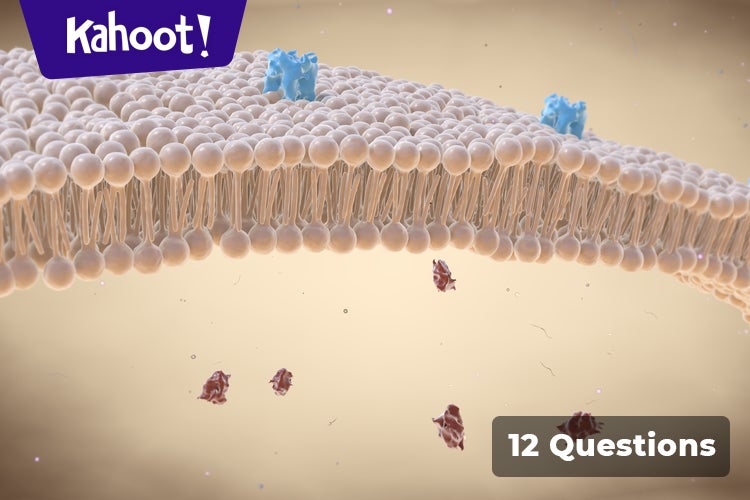Transport across cell membranes quiz - by Holly - Kahoot! Quiz