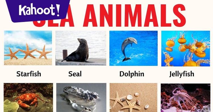 OW_1 Unit 6 the deep blue - Kahoot! Quiz