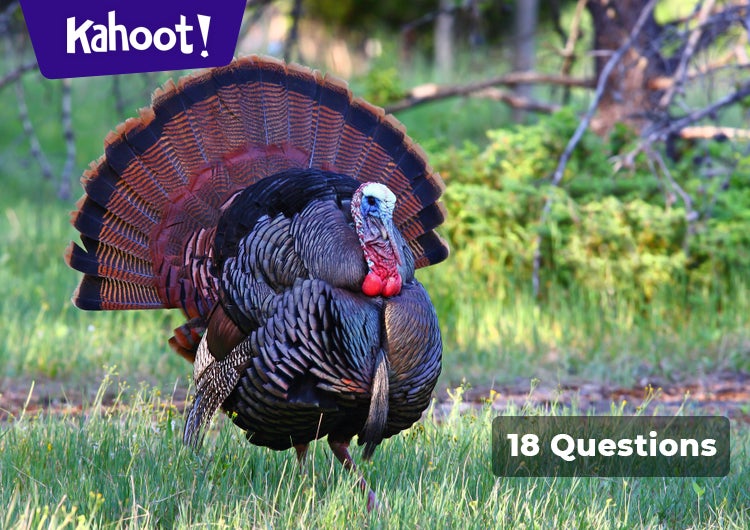 Thanksgiving Kahoot - Kahoot! Quiz