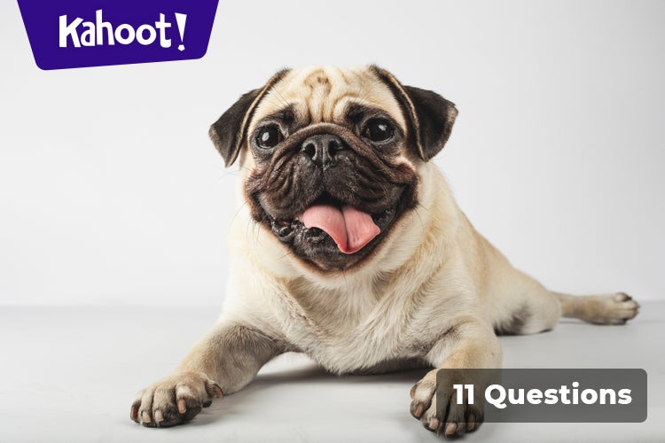 McGraw Hill 1st Grade Chapter 7 Math Vocabulary - Kahoot! Quiz