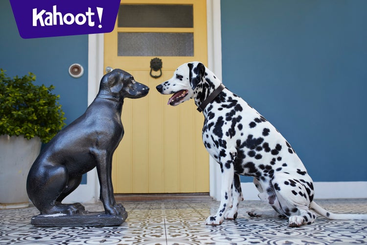 All About Dogs - Kahoot! Quiz